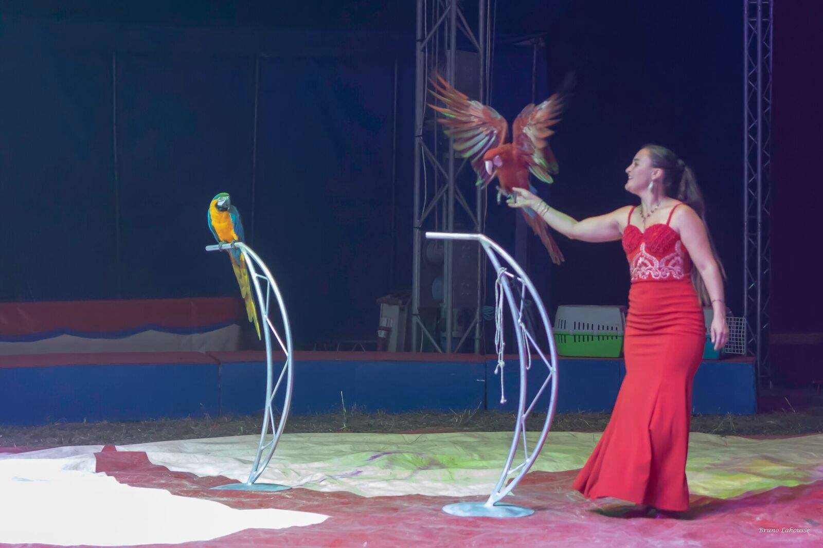 Nos buts – Syndicat Français des Capacitaires d'animaux de cirque et ...